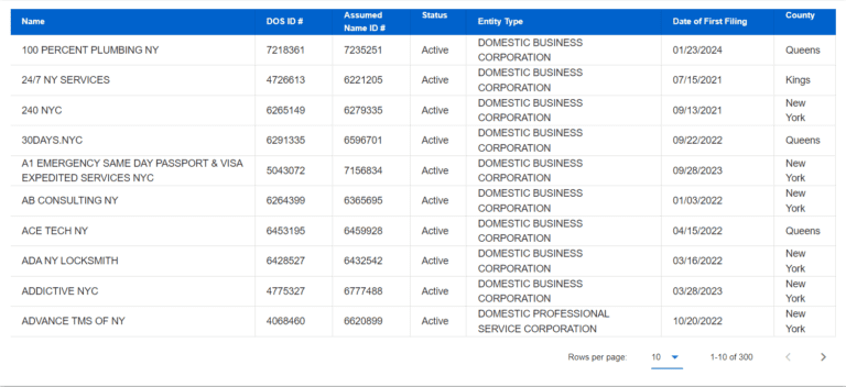 New York (NY) Secretary of State (SOS) LLC & Business Search